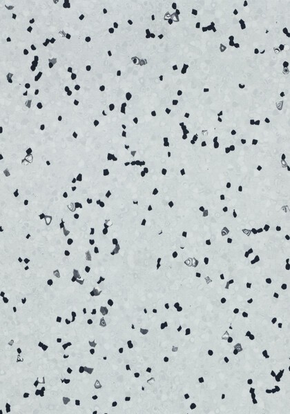 Линолеум Forbo коллекция Sphera EC купить в интернет-магазине