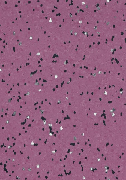 Линолеум Forbo коллекция Sphera EC купить в интернет-магазине